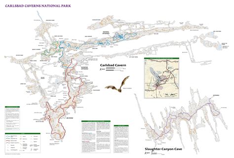 Map Of Carlsbad Caverns Underground