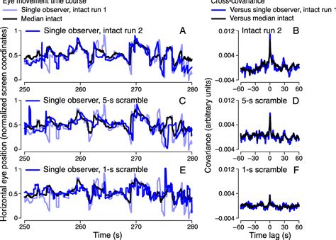 Figure 1 From Temporal Eye Movement Strategies During Naturalistic