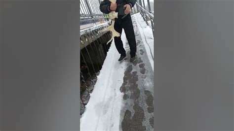 От режиссёра Не виновата я он сам пришёл Youtube