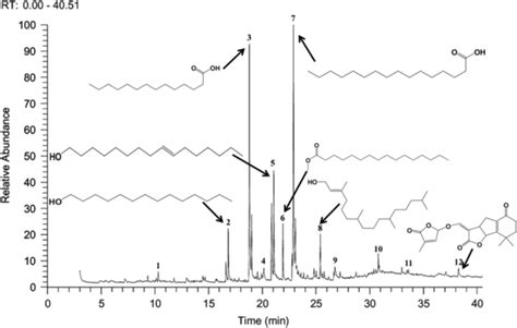 Gcms Chromatogram Of 70 Methanolic Extracts Of D Burmannii The