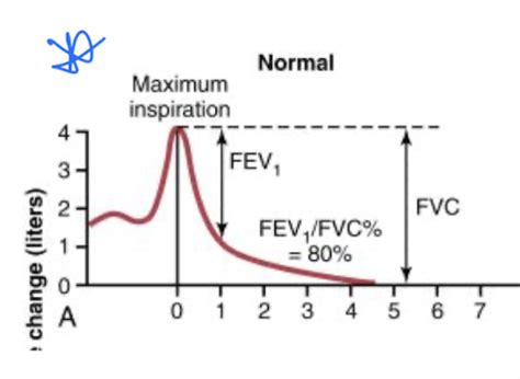 Pulmonary Function Testing Rogers Flashcards Quizlet