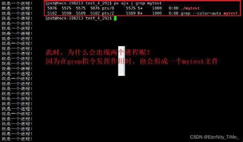 Linux进程——linux进程的概念pcb的理解linux Pcb Csdn博客