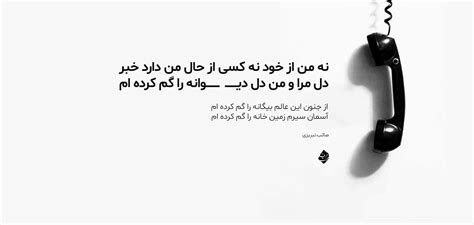 صائب تبریزینه من از خود نه کسی از حال من دارد خبر 2590