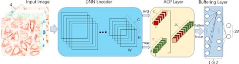 The Comparison Between A Typical Cnn Classifier With Normal Input And