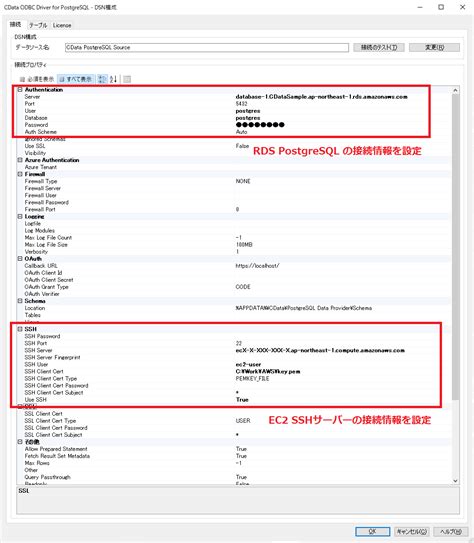Sshサーバー経由で Postgresql に接続する方法：cdata Postgresql Odbc Driver