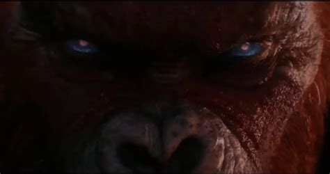 Warnerbros Hollywood Kong Monsterverse First Look Godzilla X Kong The New Empire 2024