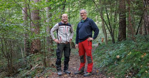 Wegen Klimawandel der Wald verändert sich Vaterland online