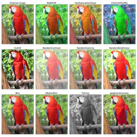 Implementasi Deep Machine Learning Untuk Segmentasi Gambar Softscients