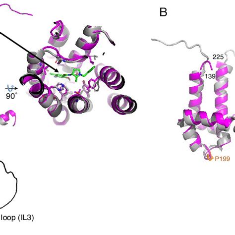 Protein Structure Prediction Of Candidate Genes Segregating Behavioural