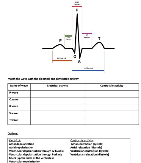 Solved Match The Wave With The Electrical And Contractile Chegg Com