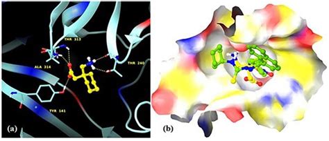 A Docked Pose Of Co Crystal Gabapentin Yellow Colour Represented