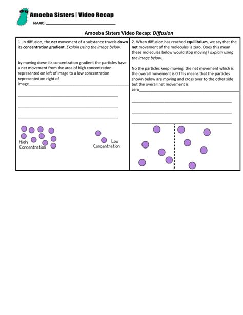 Diffusion Worksheet Amoeba Sisters Video Recap