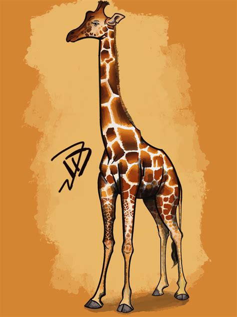 Reticulated Giraffe By Astrapionte On Deviantart