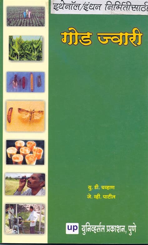 Pdf Processing Of Sweet Sorghum