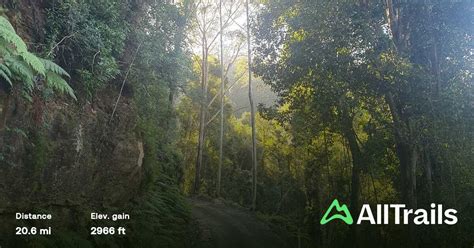 Olney State Forest Mtb Loop New South Wales Australia 12 Reviews Map Alltrails