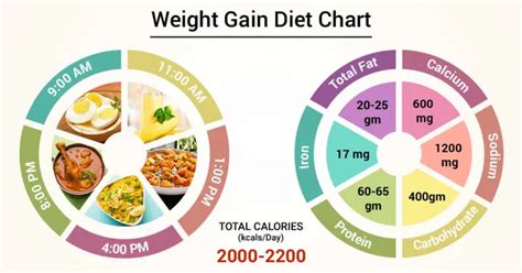 Crafting An Awesome Weight Gain Diet Plan Building A Stronger