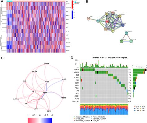 Expression Patterns And Mutation Status Of The Crgs A Heatmap