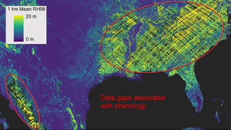 Gridded Gedi Vegetation Structure Metrics And Biomass Density At