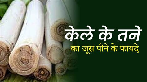 केले के तने का जूस पीने के फायदे Banana Stem Juice Benefits In Hindi