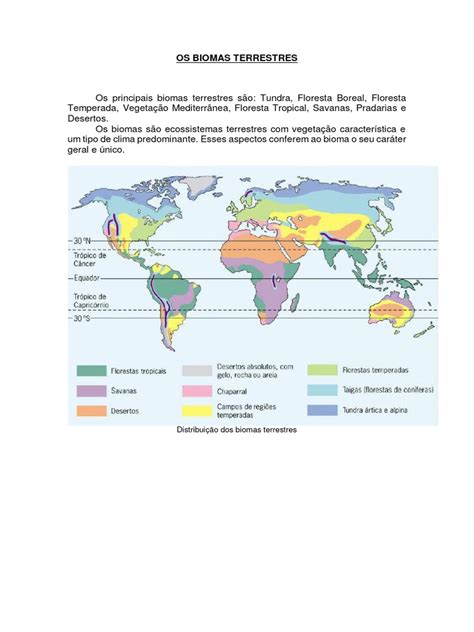 Os Biomas Terrestres Pdf Deserto Florestas