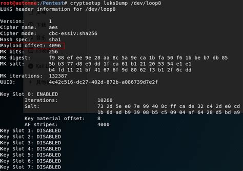 Bsidessf Ctf 2019 Goodluks Writeup · Automnes Shadow