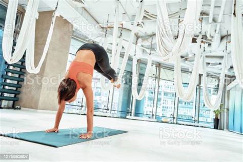 몸에 조화를 가져다 줍니다 젊은 스포티 한 여자 연습 비행 또는 공중 요가 스튜디오에서 해먹으로 운동 25 29세에 대한 스톡