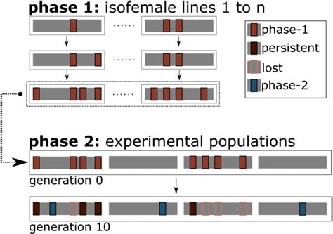 Figure From The Genomic Distribution Of Transposable Elements Is Driven By Spatially Variable