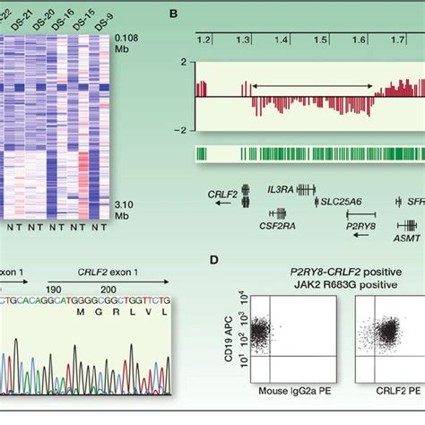 Recurring Sequence Mutations In High Risk B All Sequencing Of 125 Download Scientific Diagram