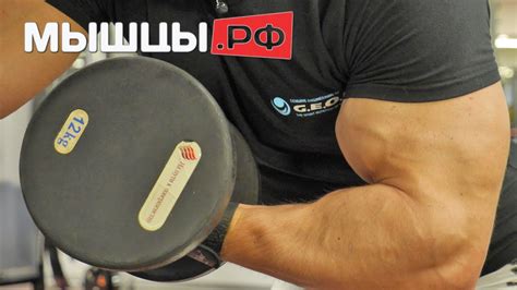 Накачать бицепс и трицепс Тренировка рук от чемпиона Youtube