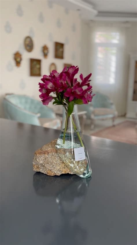 ‎گیاهان آپارتمانی هِناس 🌱 Henas‎ ‎پارت سوم گلدونای چوبیمون🤌🏼🪵 نگم براتون از ترکیب شیشه و چوب🥹