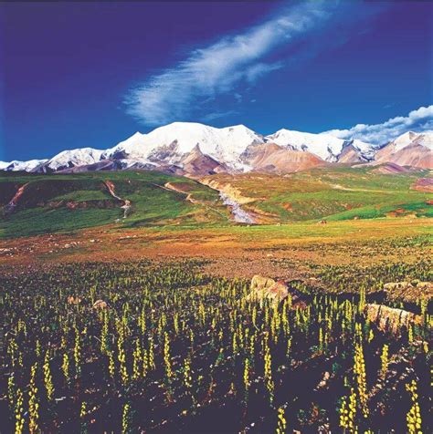 格拉丹冬、阿尼玛卿、年保玉则：三江源国家公园的冰川奇观山峰雪山黄河