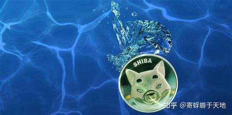 柴犬再次回归底部接下来呢 知乎