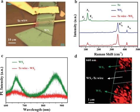 Figure 1 From A High Performance Self Powered Photodetector Based On A