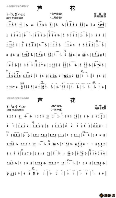 《芦花》最新曲谱 钢琴谱吉他谱 新乐谱