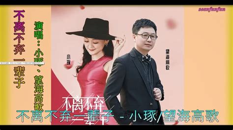 情歌對唱不离不弃一辈子小琢望海高歌 YouTube
