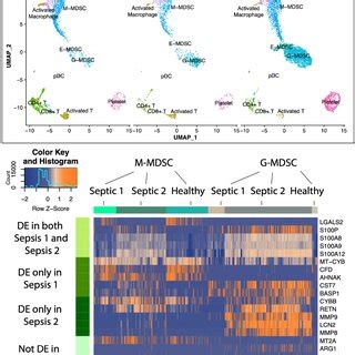 Uniform Manifold Approximation And Projection UMAP Plots Of Cell Download Scientific Diagram