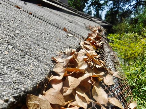 Do Gutter Screens Meet The Code