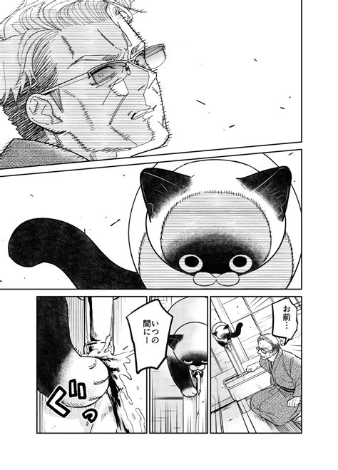 「野良猫に振り回される元極道の話。 漫画が読めるハッシュタグ 」片倉 頼📦オヤジとにゃん吉👨‍🦳🐾🐱11 10②巻発売🐾の漫画