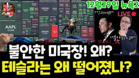 미국주식시황오늘은 왜 더 불안했나 왜 테슬라만 떨어졌나엔비디아 구글 애플 아마존 메타 마이크로소프트 리비안 소파이