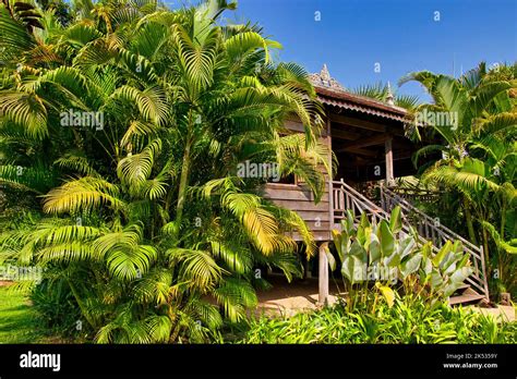 Cambodia Siem Reap Genuine Traditional Wooden Houses On Stilts