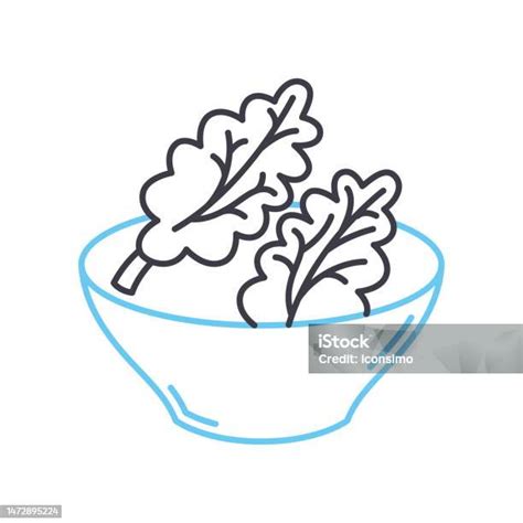 중국어 케일 잎선 아이콘 개요 기호 벡터 일러스트 레이 션 개념 기호 개체 그룹에 대한 스톡 벡터 아트 및 기타 이미지 개체 그룹 건강한 식생활 꽃 양배추 Istock