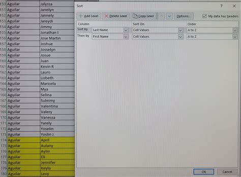 Excel Custom Aphlabetical Sort Not Working Properly Microsoft