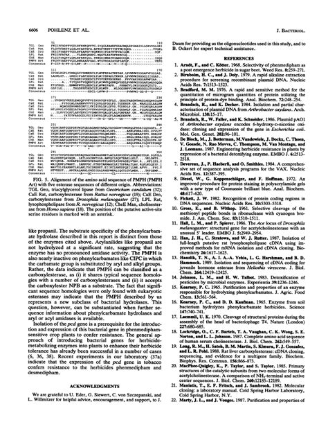 Purification And Properties Of An Arthrobacter Oxydans P52 Carbamate Hydrolase Specific For The
