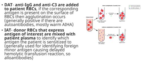 PA 576 Hemolytic Anemias Flashcards Quizlet