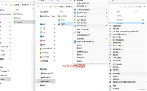 Svn Subversion Csdn