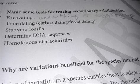Name Some Tools For Tracing Evolutionary Relationships Name Tracing Generator