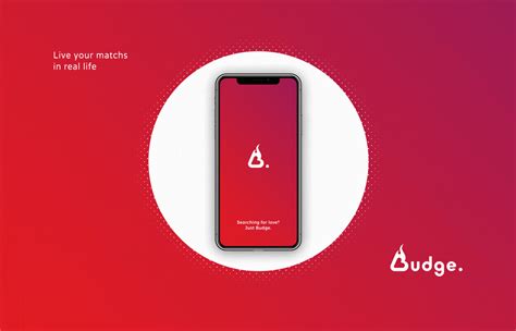 Budge Brand Identity On Behance