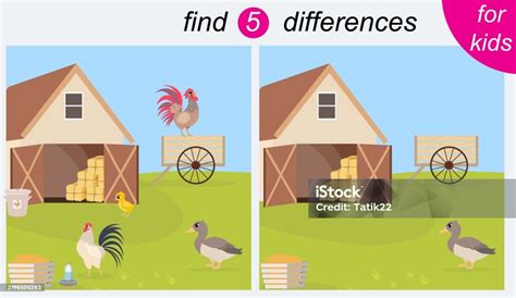 아이들을 위한 논리 퍼즐 게임 5가지 차이점을 찾아야 합니다 농장 수탉 암탉 오리 0명에 대한 스톡 벡터 아트 및 기타 이미지 Istock