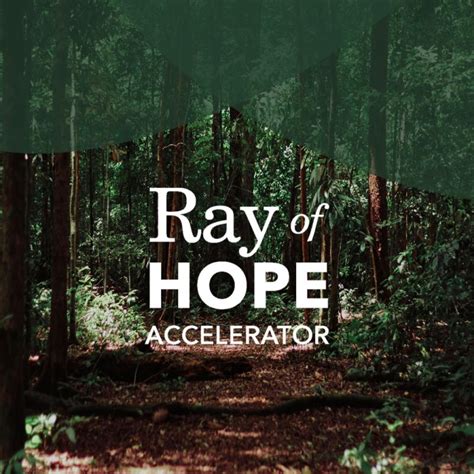 Biomimicry Institute Auf Linkedin Ray Of Hope Accelerator Biomimicry Institute