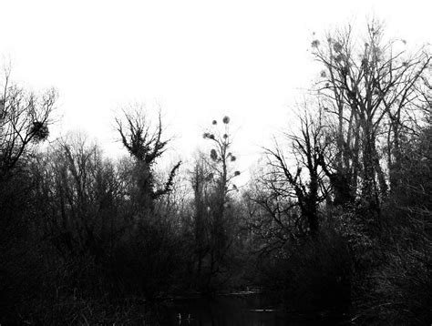 Silent Nature by Caillean-Photography on DeviantArt